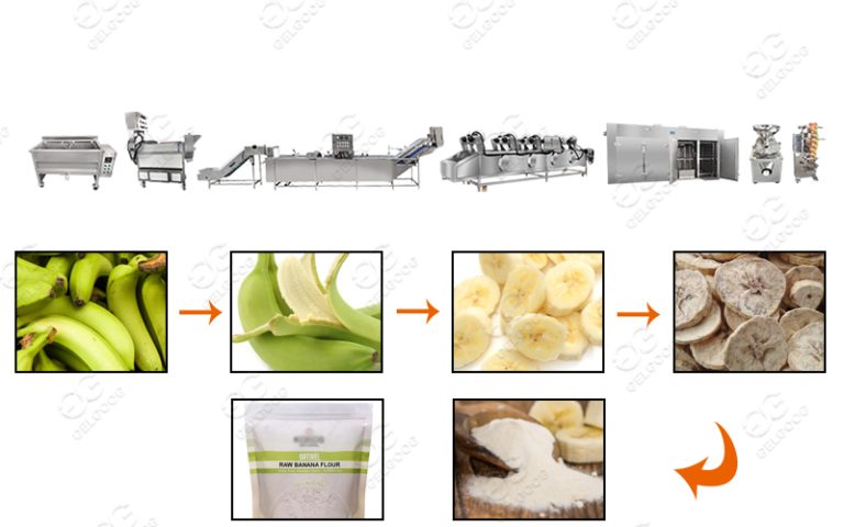 Banana Flour Processing Plant-Banana Flour Solution