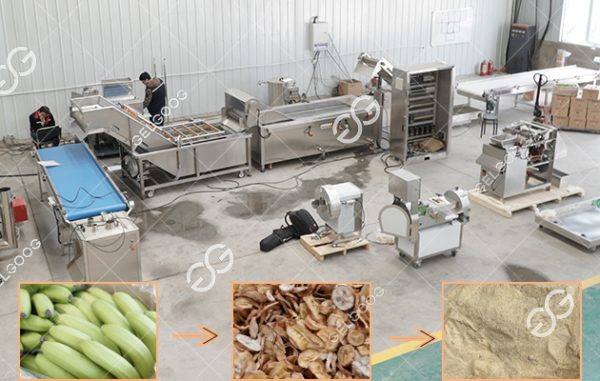 Industrial Banana Plantain Flour Powder Processing Plant