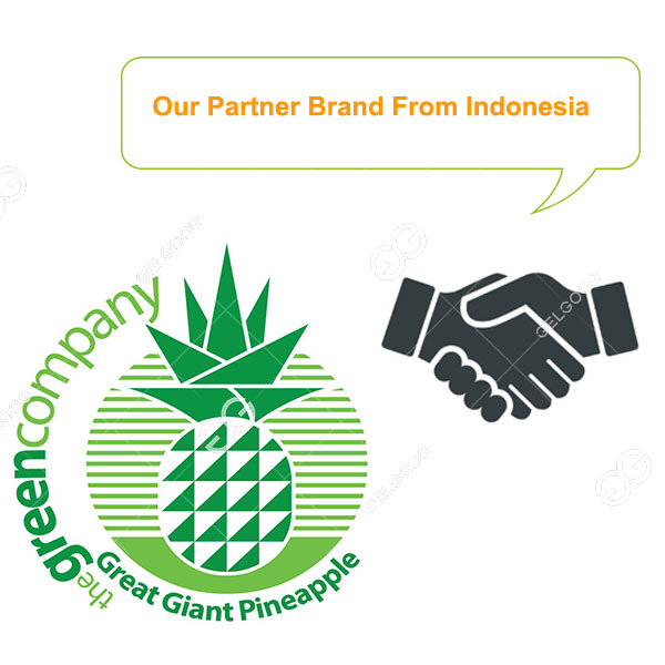 Indonesian Customers Order Our Banana Production Line